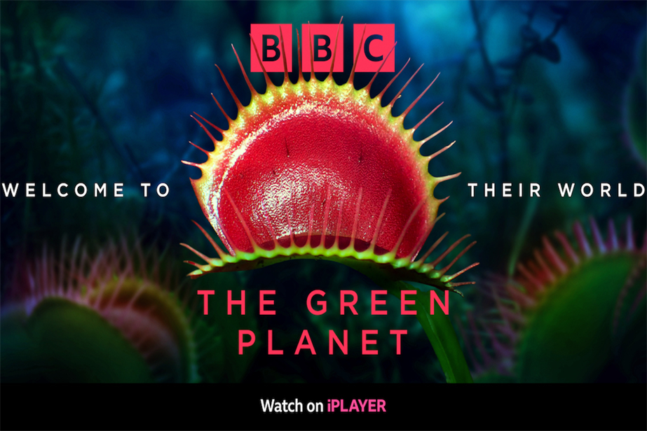BBC Creative Advertising, Marketing Campaigns and Videos
