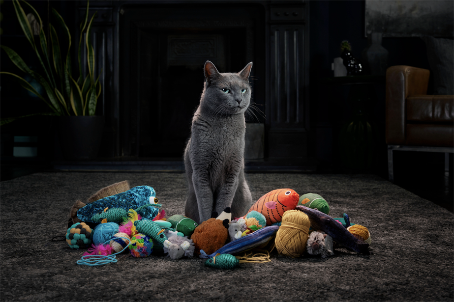 Mars Advertising, Marketing Campaigns and Videos