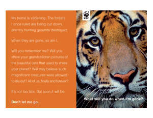 WWF-UK's tiger insert campaign | Third Sector