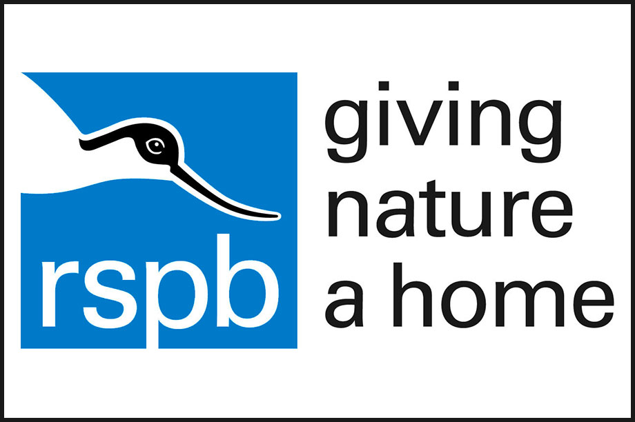 Charity Commission rejects two complaints about the RSPB | Third Sector