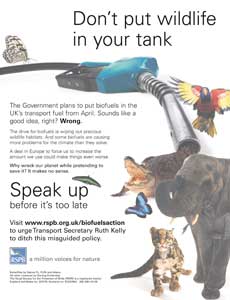 RSPB anti-biofuel ad not misleading, says watchdog | Third Sector