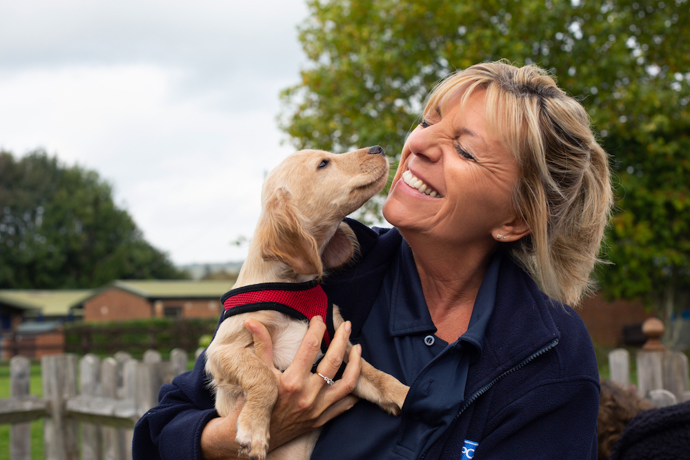 RSPCA reports 85 per cent increase in volunteers in 12 months | Third ...