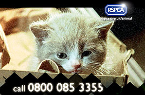 Reality stars back RSPCA | Third Sector