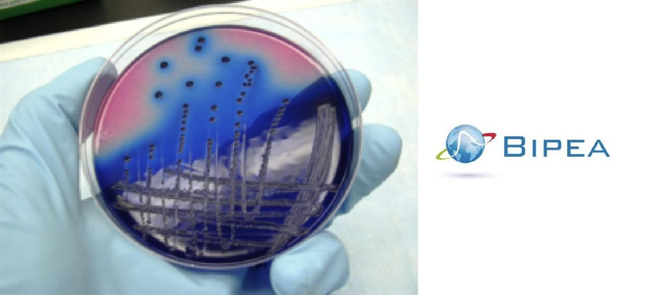 bipea_offers_a_new_proficiency_test_in_the_field_of_water_microbiology_2235