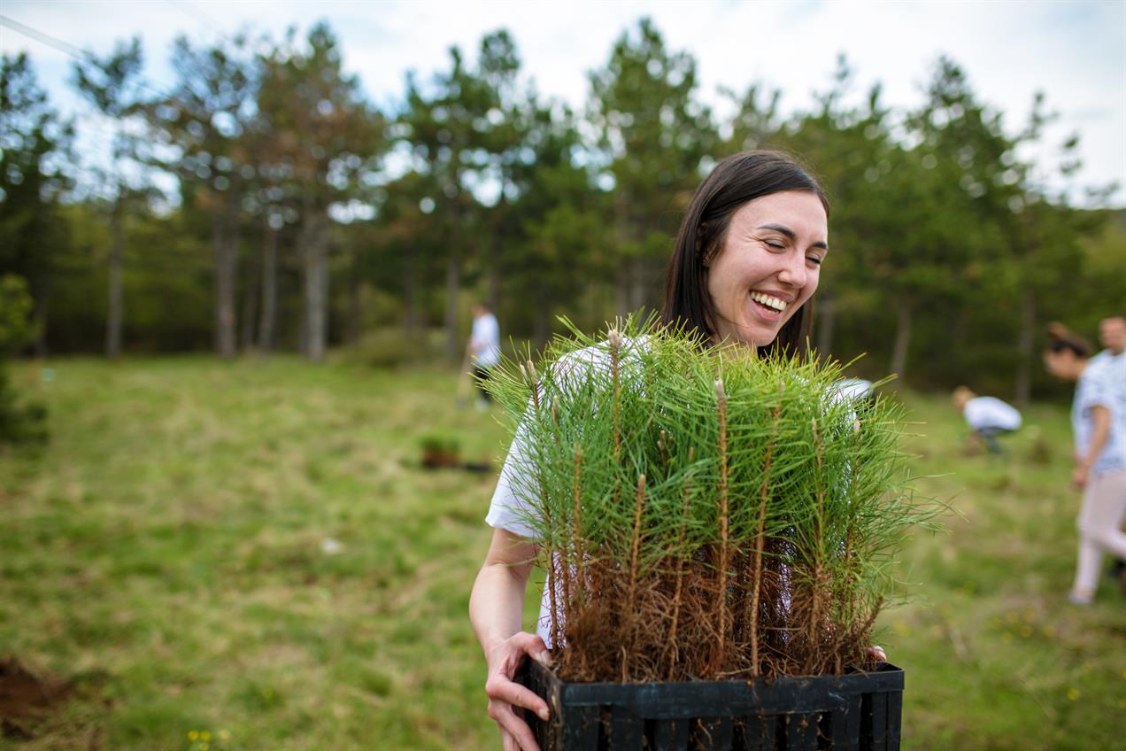 Why forestation may play smaller role in climate protection than thought