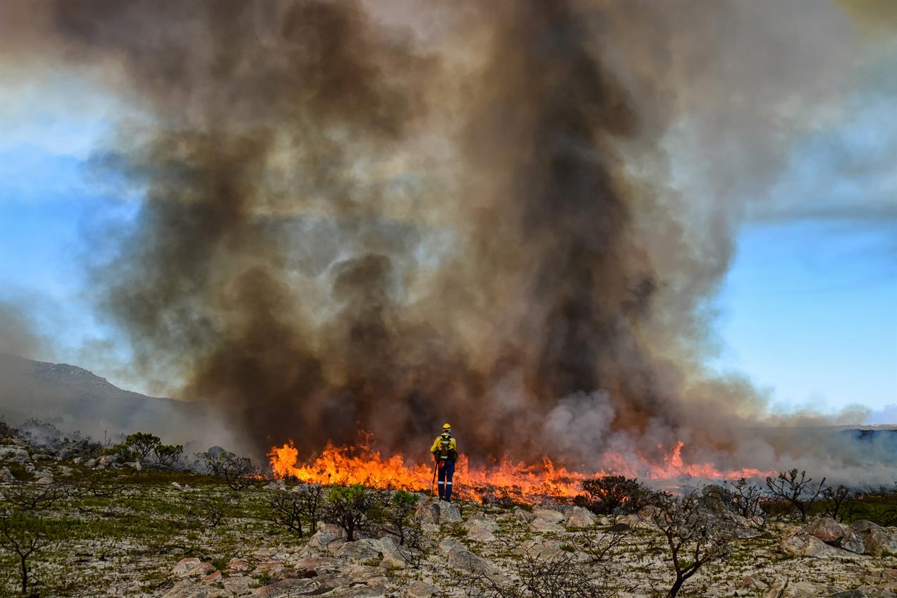 Firefighters battle ‘almost apocalyptic’ wildfires in South Africa