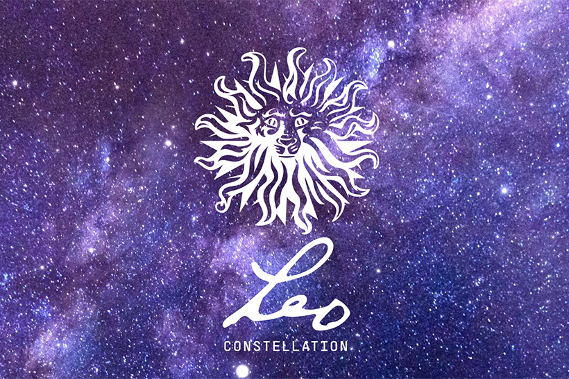 Publicis Groupe merging two creative networks to create Leo | Campaign US