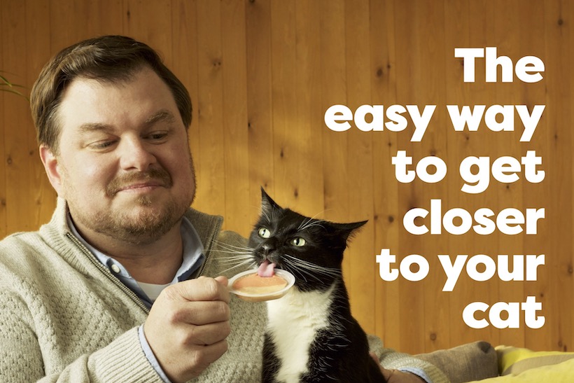 Cats are too cool for their owners in latest Temptations campaign ...
