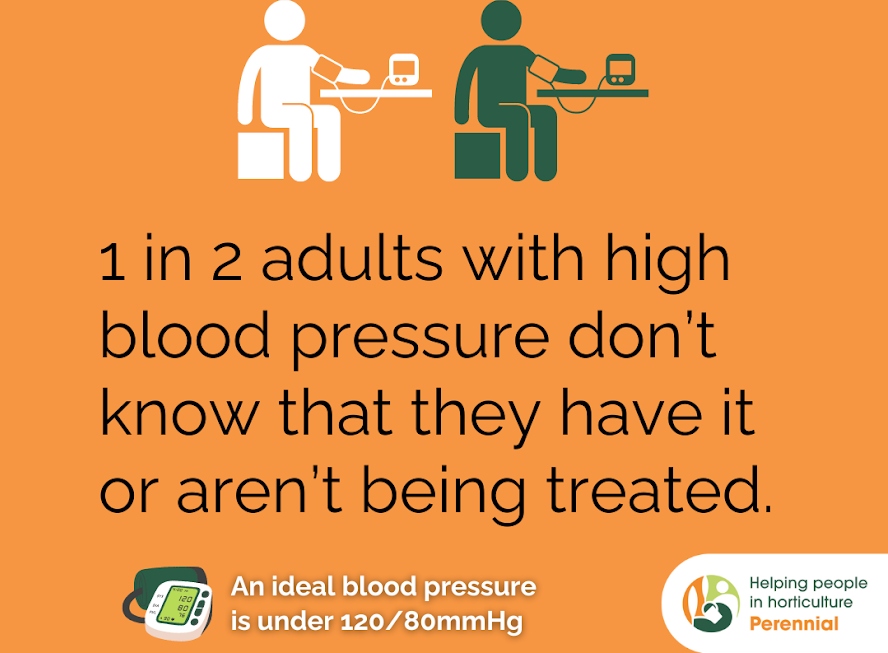 Free blood pressure checks at Four Oaks with Perennial and NHS | HortWeek