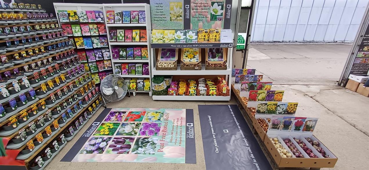 Gedney Bulbs returns to Four Oaks | HortWeek