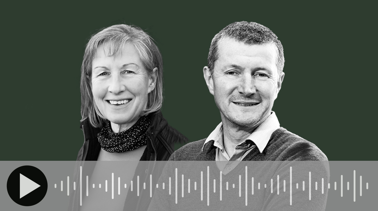 Growing and selling plants with Sue Beesley of Bluebell Cottage Gardens ...