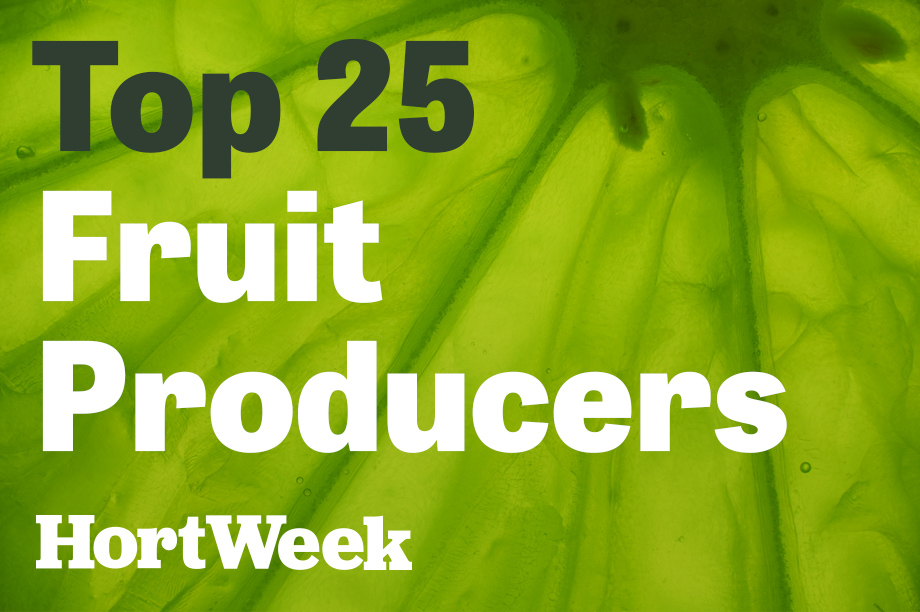 Top 25 UK Fruit Producers listing finds pre-pandemic production in good ...