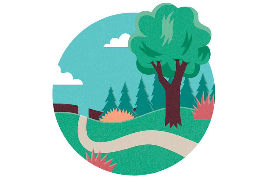 Career profile - Local Authority Tree Officer | HortWeek