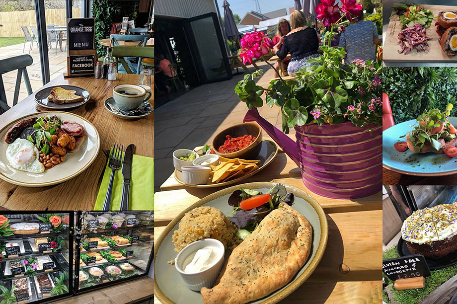 Pugh's Garden Village Wenvoe | HortWeek