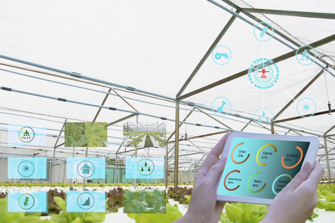 Three ways to make the most of the technology revolution | HortWeek