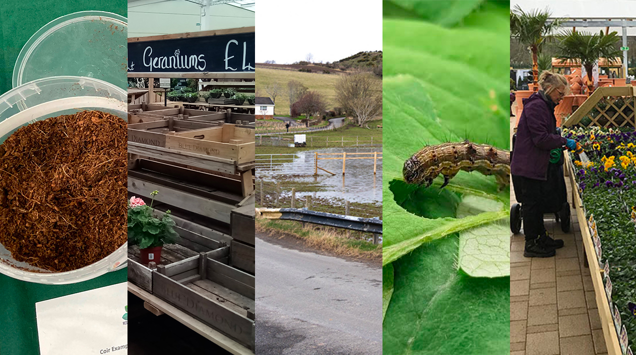 HortWeek Survey: what are the biggest issues for horticulture in 2024 ...