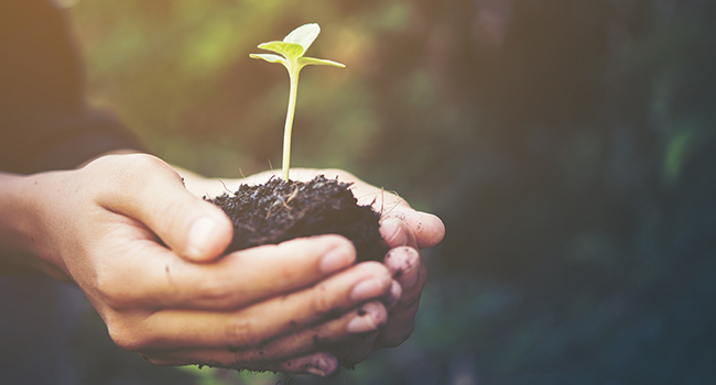 How to create a stand-out CV for your first job in horticulture | HortWeek