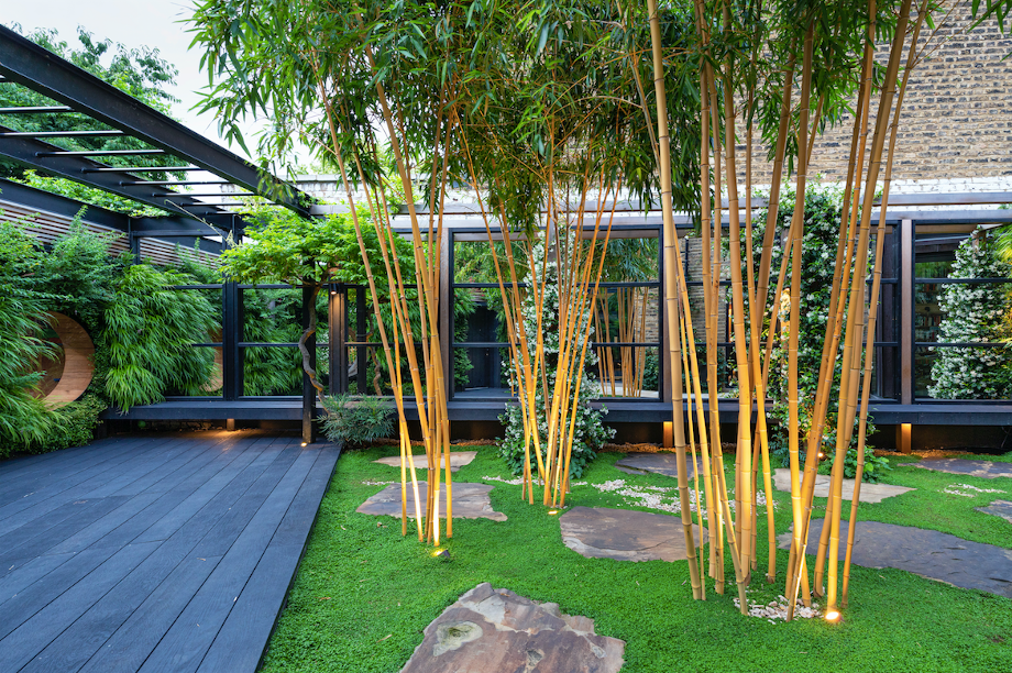 Society of Garden Designers picks top design ideas from 2020 award winners HortWeek