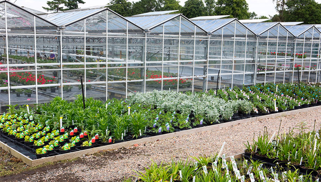 HortWeek | Latest horticulture industry news and jobs