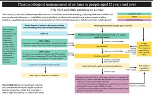 Guidelines grouped by therapeutic area | MIMS online