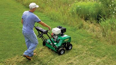 Market Reports | Horticulture Week