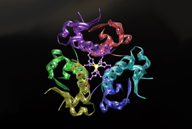 OptiClik, OptiPen and OptiSet insulin pens discontinued | MIMS online