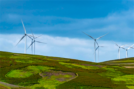 UK energy regulator Ofgem probes claim wind farm operators ...