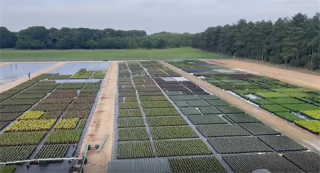 UK grower opens new 500k plants a year custom-built site | HortWeek