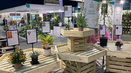Winners of National Plant Show best new plant awards revealed | HortWeek