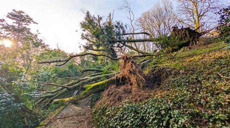 Storm Goretti clear up begins after ‘worst storm’ in over a decade ...