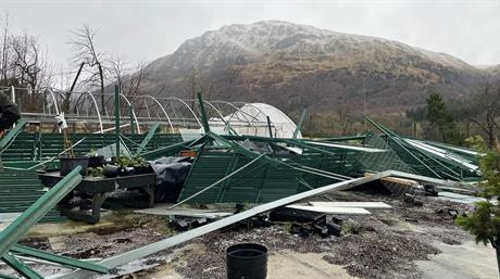 Appeal launched by RBGE following ‘devastating damage’ caused by Storm ...