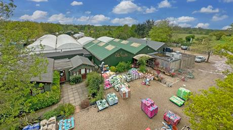 Four questions with Peter Beales Roses' buyer Bells | HortWeek