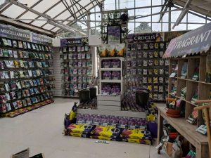 Colour blocking is the secret to successful flower bulb display | HortWeek