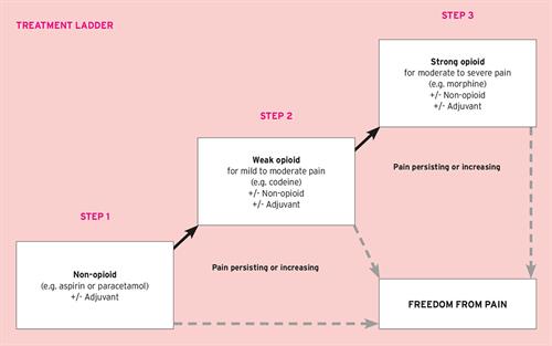 WHO Pain Ladder for Cancer Pain Relief in Adults | MIMS online