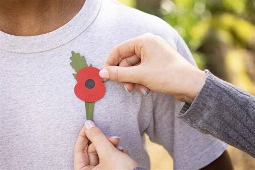 First new look for 30 years as RBL poppy goes green | Third Sector