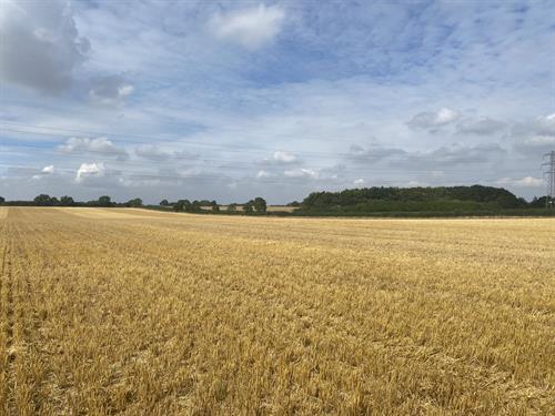 Inspector approves 94-ha solar farm despite loss of high-grade farmland ...