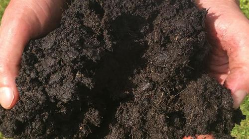 Harte Peat wins RHP Certification | HortWeek