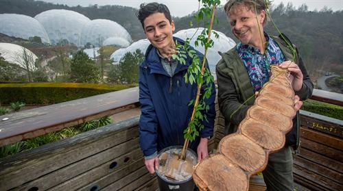 Seed from world’s biggest bean pod found on beach | HortWeek