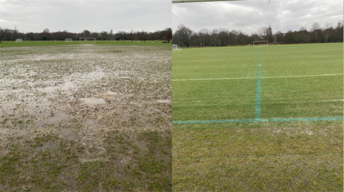The Regent’s Park creates new natural grass hybrid football pitch ...