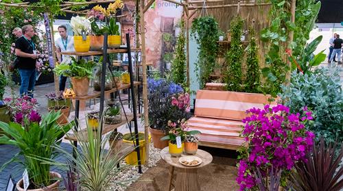 Why growers at the National Plant Show are feeling happy about 2024 ...