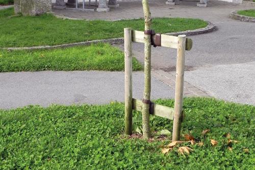 Tree stakes and ties | HortWeek