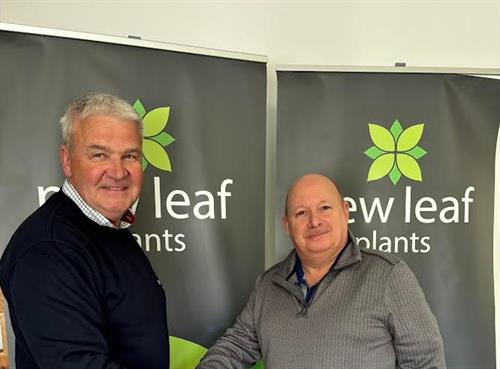New Leaf Plants makes organisational changes | HortWeek