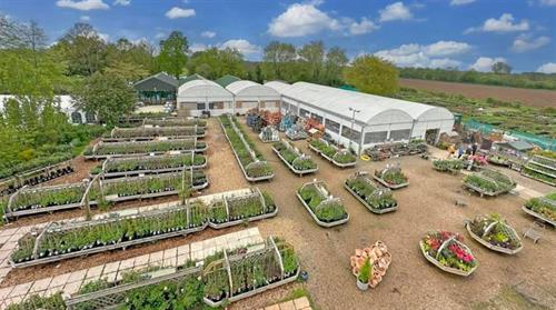 Peter Beales Roses attracts wide interest | HortWeek