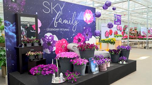 Selecta One to debut at Four Oaks trade show with new and future plants ...