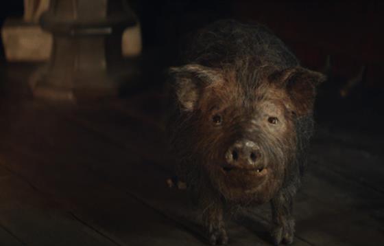 Karmarama | Insight, news and creative work | Campaign