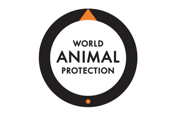 World Society for the Protection of Animals changes its name to World ...