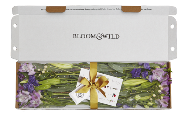 Bloom & Wild: Meet the entrepreneurs who are stuffing flowers through ...