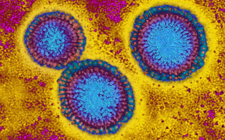 NHS prescribing of flu antivirals approved | MIMS online