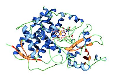 Tybost (cobicistat): an alternative to ritonavir for boosting ...