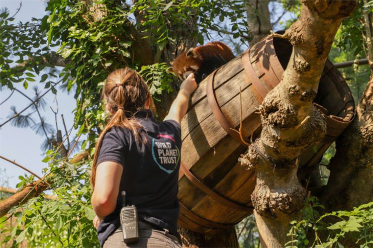 Fundraising news & best practice | Third Sector